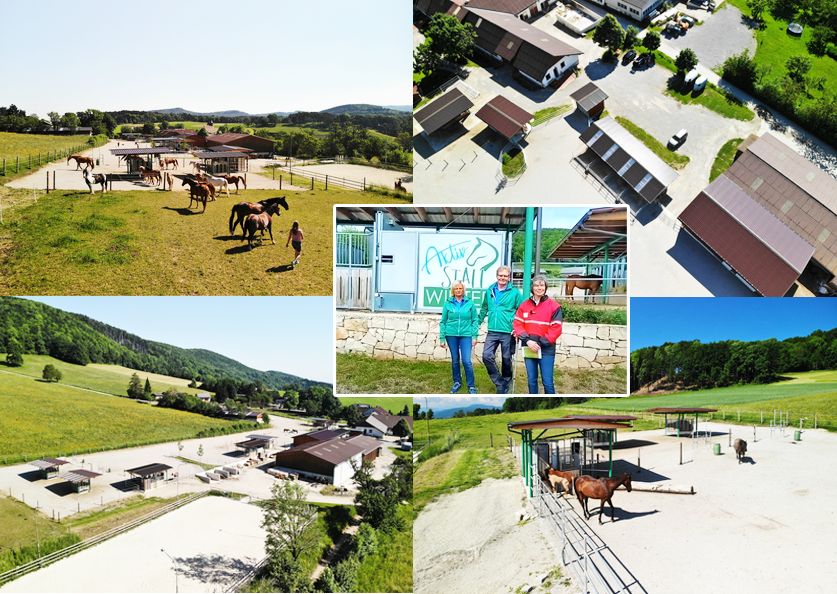Virtueller Stallbesuch im Aktivstall Winter mit Selektionskonzept ...